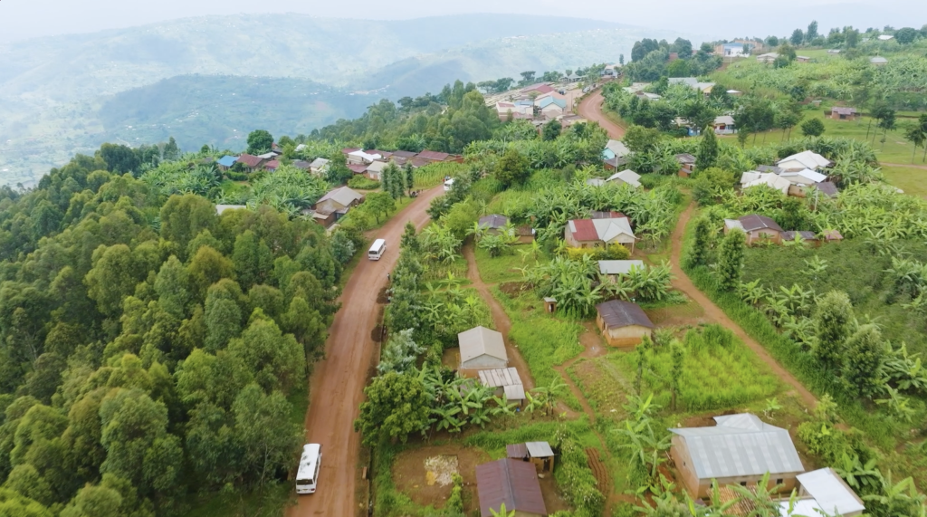 Starbucks - Rwanda Origins - Snappin' Turtle